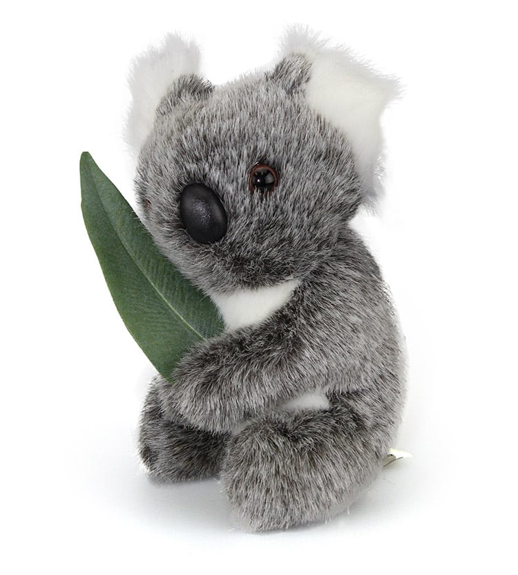 Australian Koala Soft Toys - Express Shipping Available