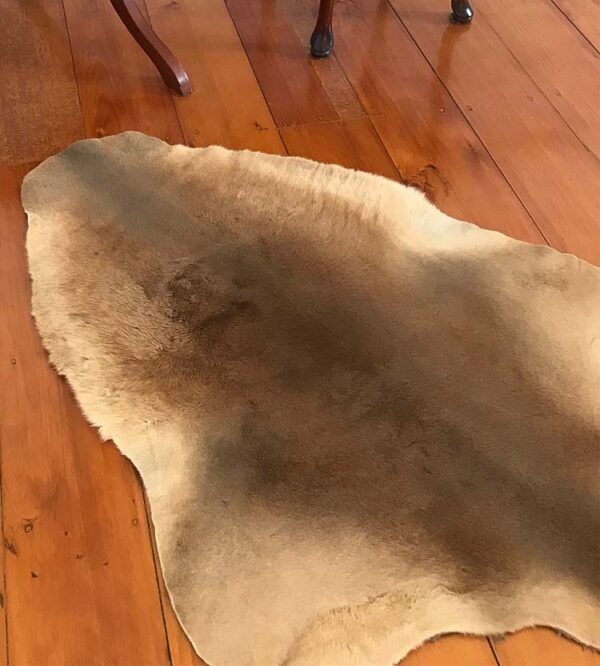 Large Kangaroo Skin - Free Aus-Wide Shipping Over $100