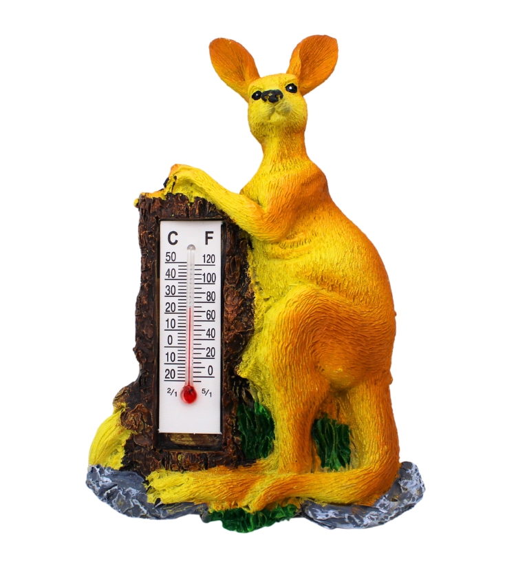 Kangaroo and Thermometer Resin Magnet - Australia's No1. Souvenir Store